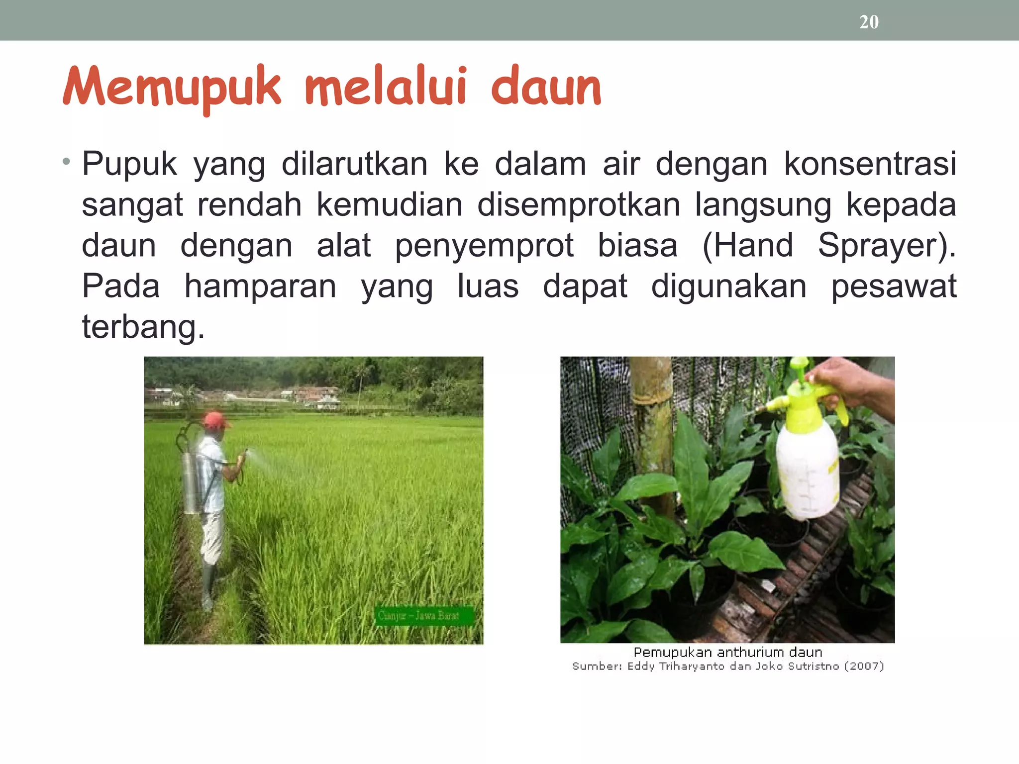Pupuk dan pemupukan | PPT