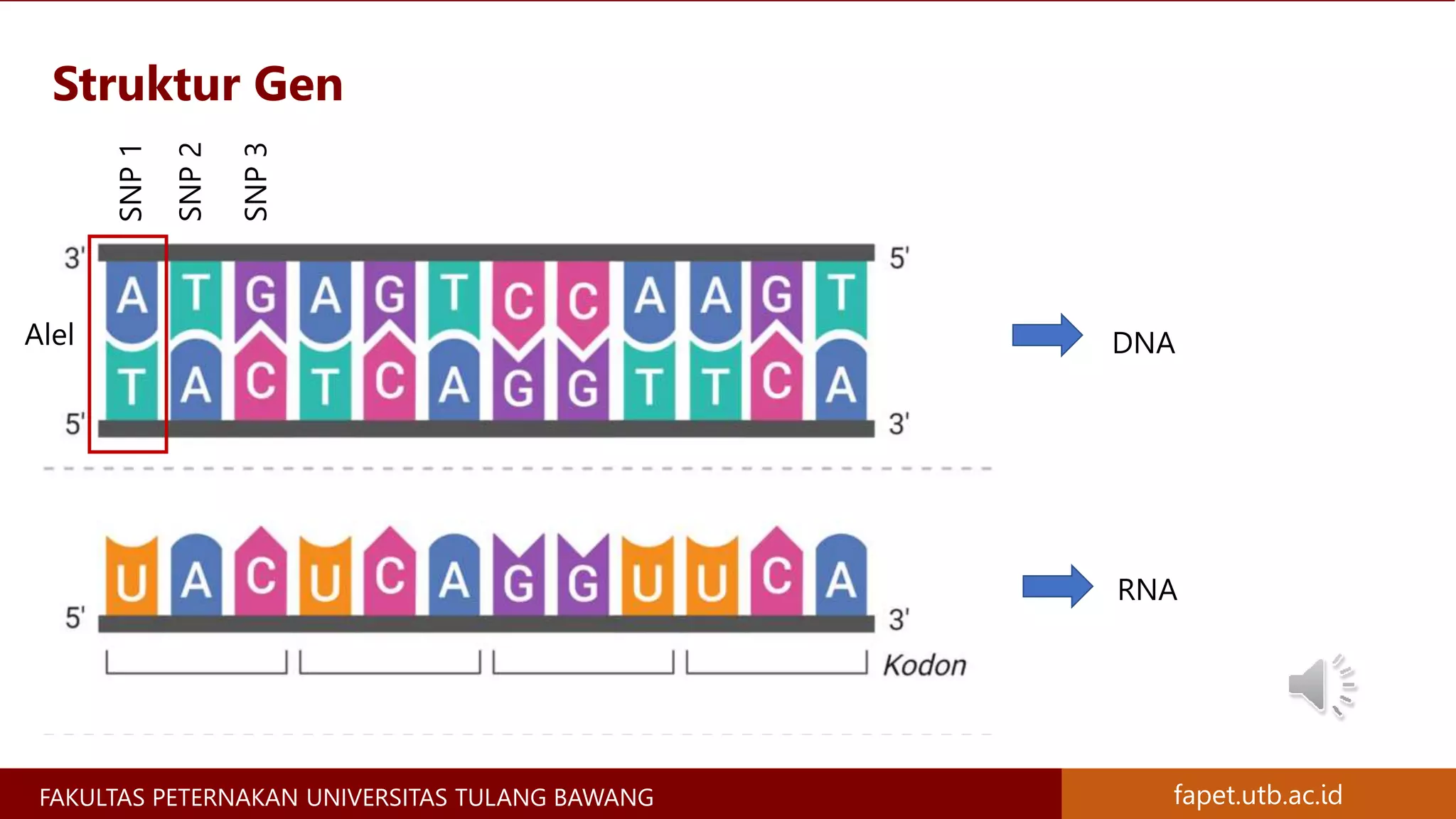 Alel dan Gen Ganda - Materi Genetika Ternak | PPTX