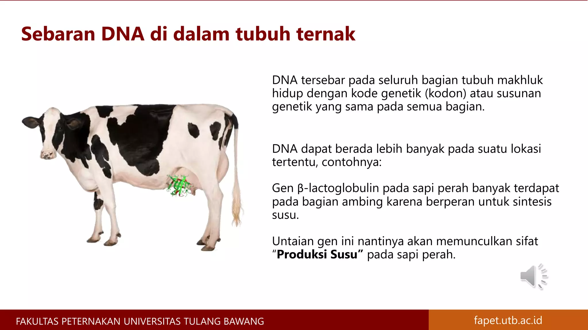 Alel dan Gen Ganda - Materi Genetika Ternak | PPTX