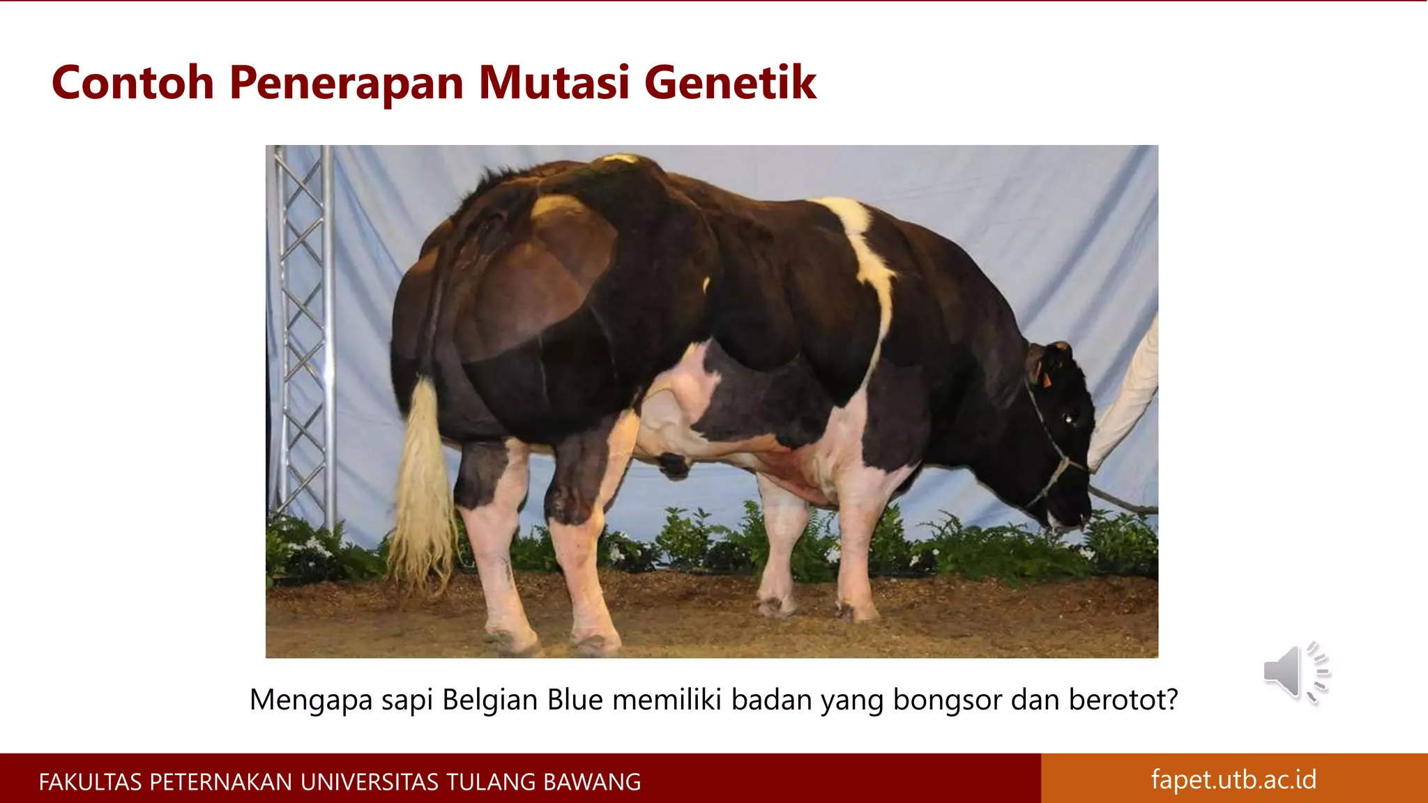 Alel dan Gen Ganda - Materi Genetika Ternak | PPTX