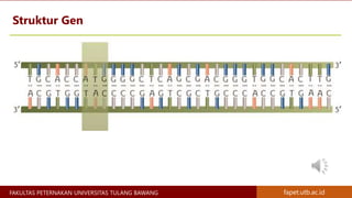 Alel dan Gen Ganda - Materi Genetika Ternak | PPTX