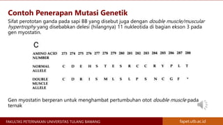 Alel dan Gen Ganda - Materi Genetika Ternak | PPTX