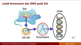 Alel dan Gen Ganda - Materi Genetika Ternak | PPTX