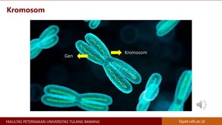 Alel dan Gen Ganda - Materi Genetika Ternak | PPTX
