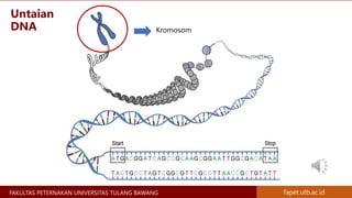 Alel dan Gen Ganda - Materi Genetika Ternak | PPTX