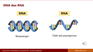 Alel dan Gen Ganda - Materi Genetika Ternak | PPTX