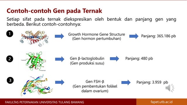 Alel dan Gen Ganda - Materi Genetika Ternak | PPTX