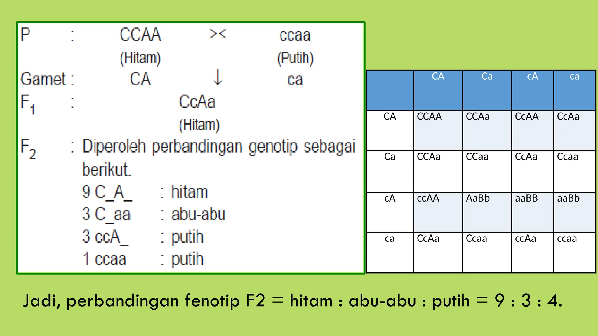 Pertemuan 6 - pewarisan sifat pada makhluk hidup.pptx