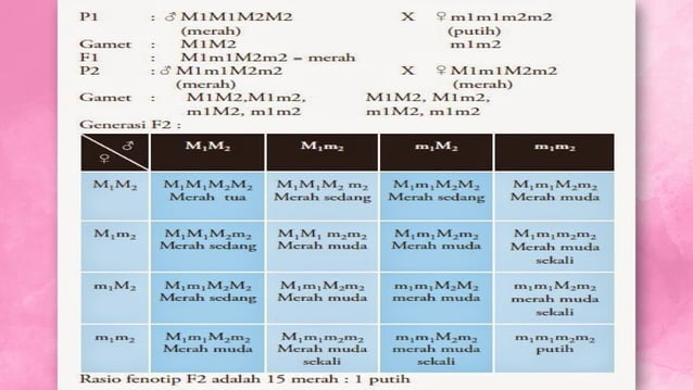 Pertemuan 6 - pewarisan sifat pada makhluk hidup.pptx