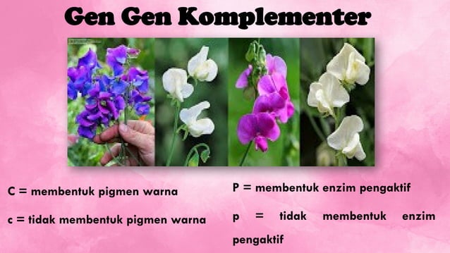 Pertemuan 6 - pewarisan sifat pada makhluk hidup.pptx