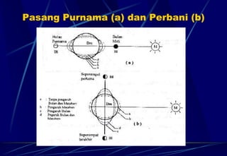 Pertemuan 6-PROSES DAN TIPE PASANG SURUT-MAHBUB (1).pdf