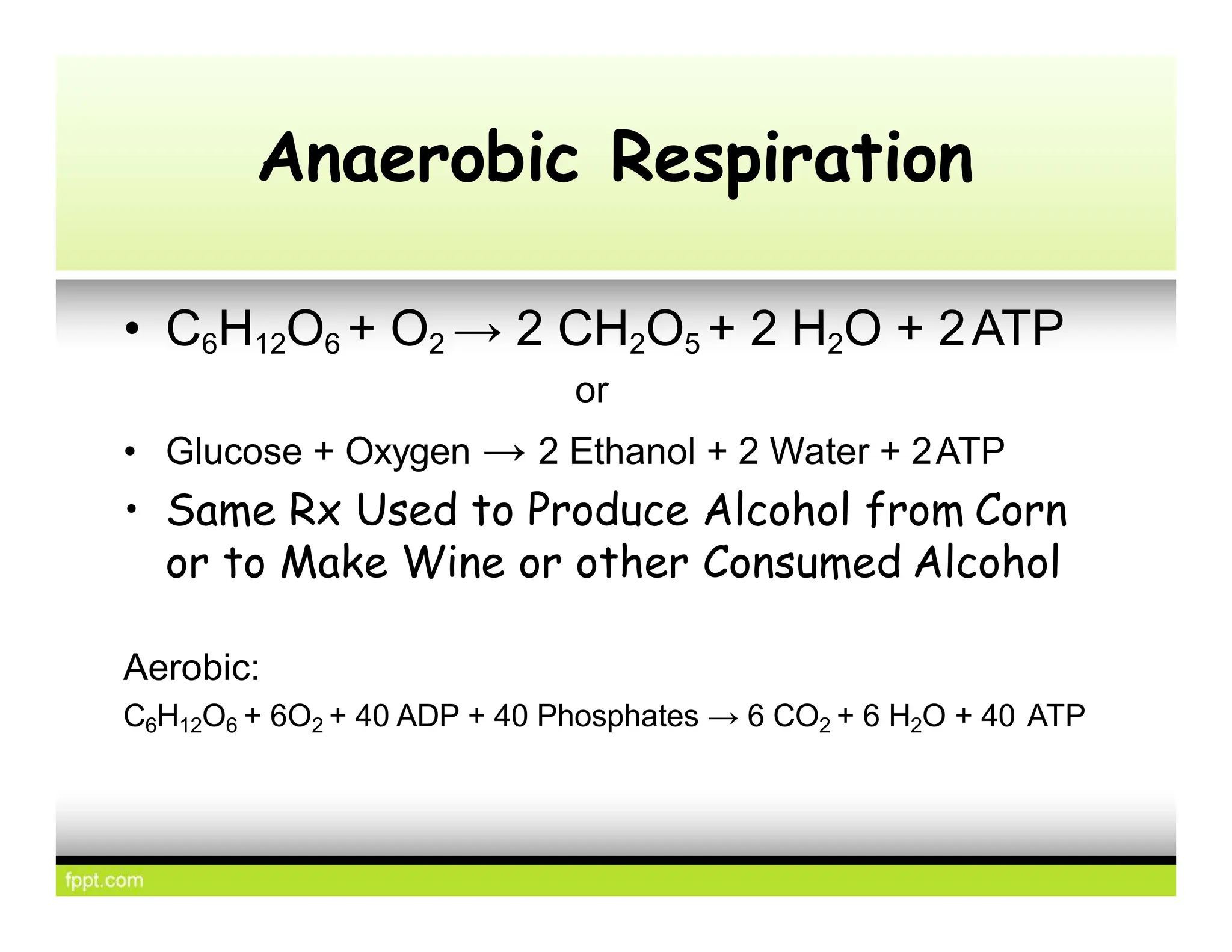 Pertemuan 6-Respirasi.pdf Respirasi tumbuhan | PDF