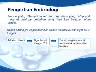 Pertemuan 6 (1).pptx