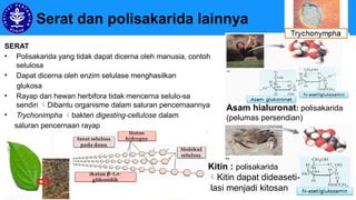 pertemuan 6 bahan kimia dalam tubuh kita.pptx