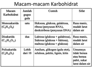 pertemuan_6IPA4310407.pdf