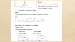Pertemuan 6 Konsep Dasar BAUM Test dan Interpretasi.pdf