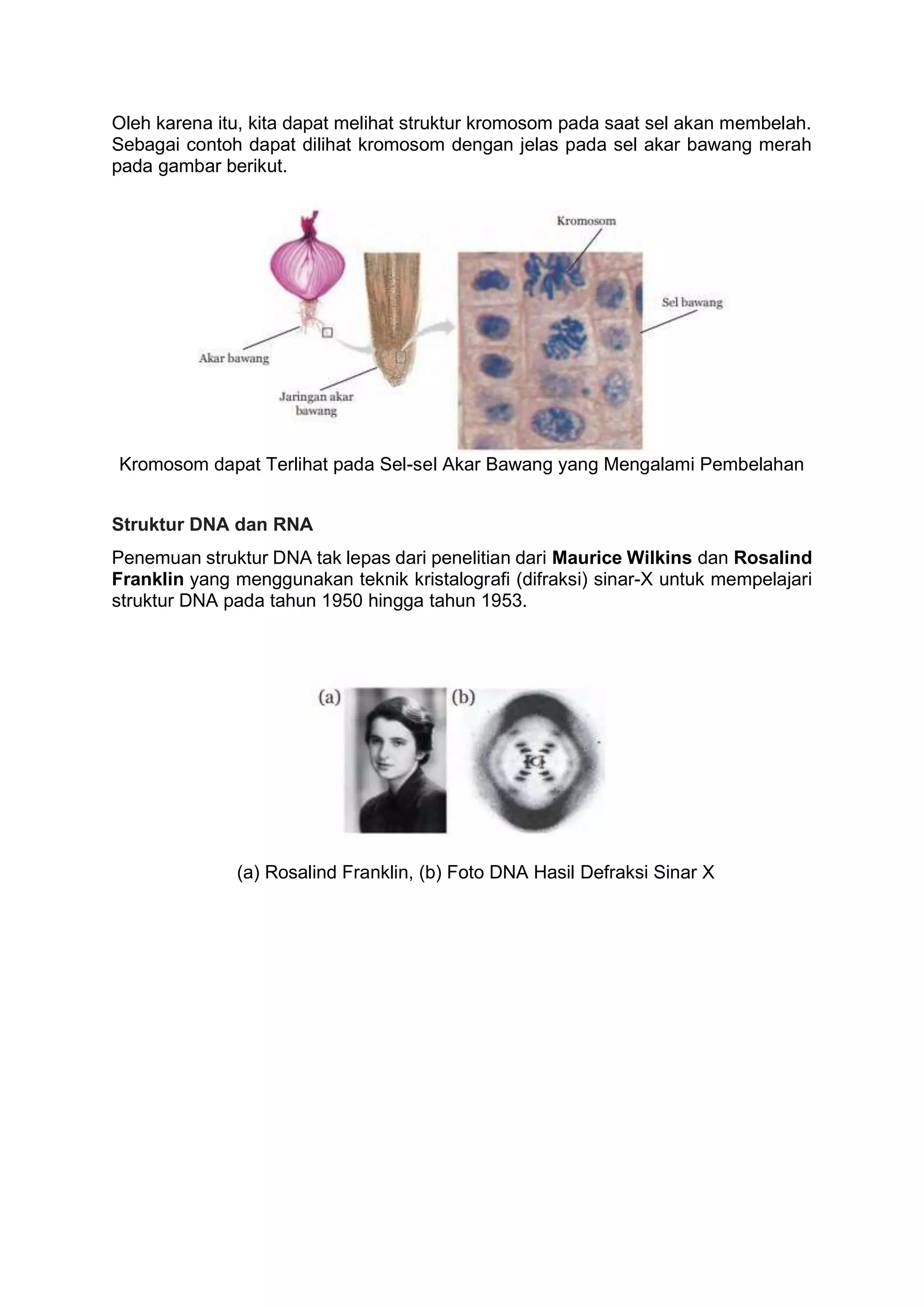 Pertemuan 6 pewarisan sifat pada mahluk hidup | PDF