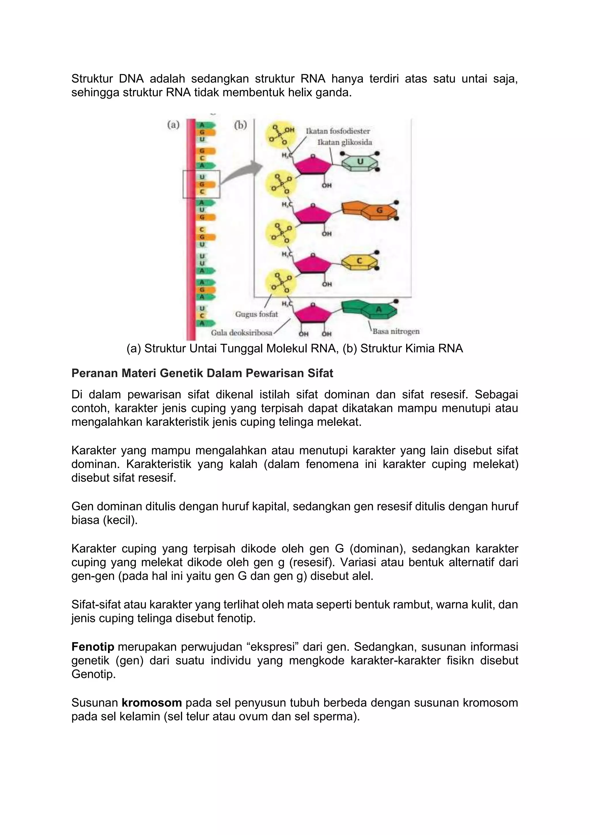 Pertemuan 6 pewarisan sifat pada mahluk hidup | PDF