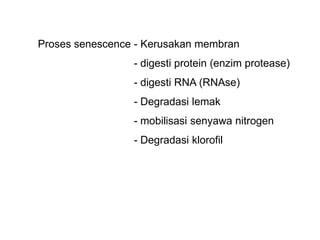 absisi daun: mengenal absisi pada tumbuhan