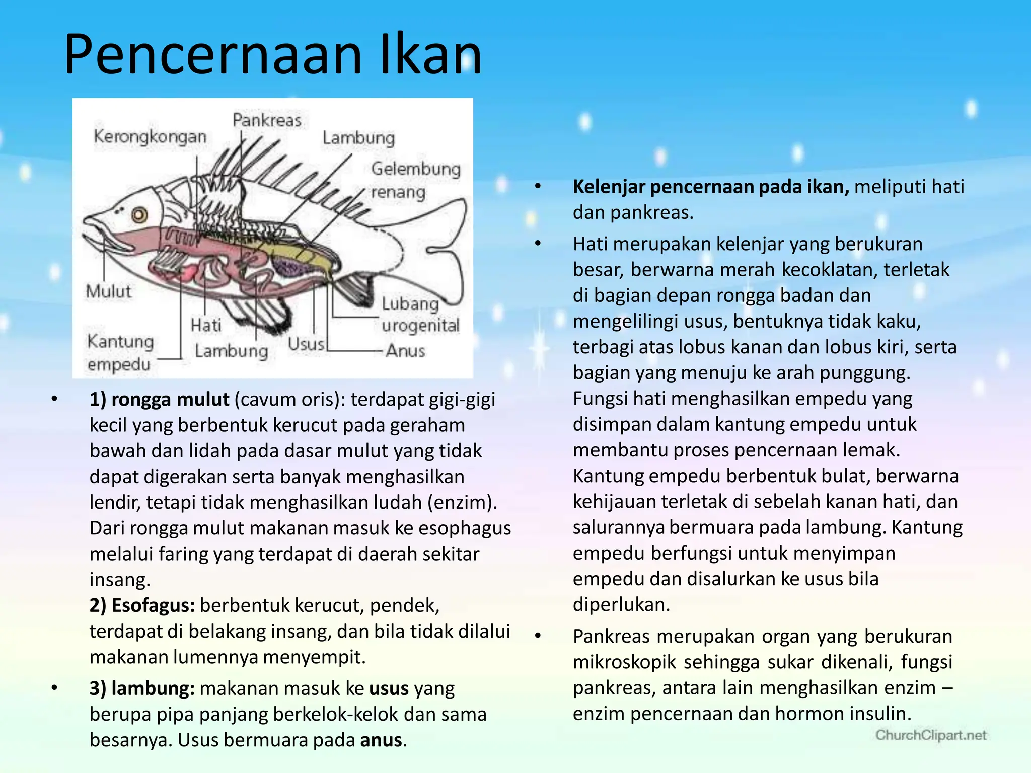Pertemuan 6 Sistem pencernaan manusia.pptx