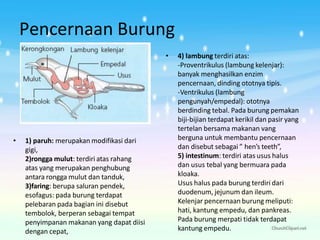 Pertemuan 6 Sistem pencernaan manusia.pptx