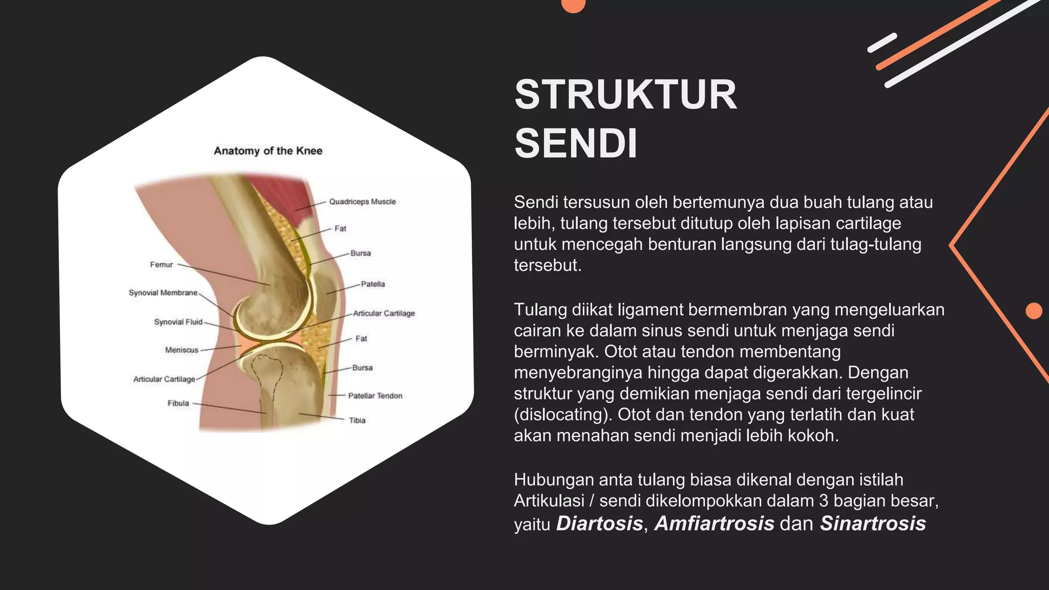 Sendi manusia | PPTX