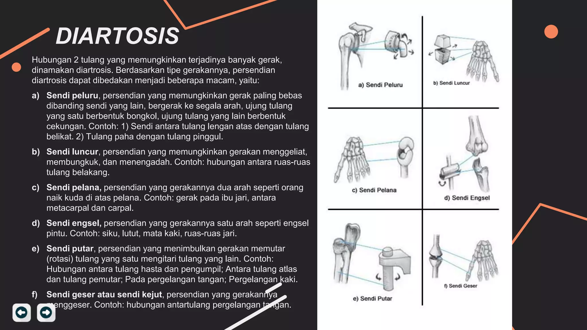 Sendi manusia | PPTX