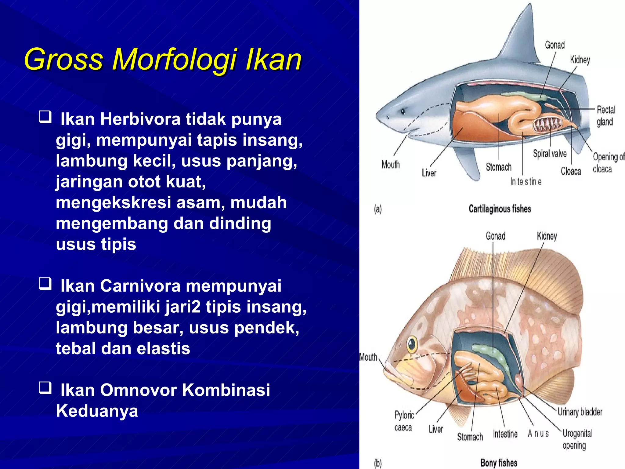 Pertemuan 7 | PPT