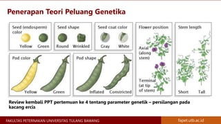 Teori Peluang Genetika - Materi Genetika Ternak | PPTX