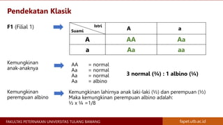 Teori Peluang Genetika - Materi Genetika Ternak | PPTX