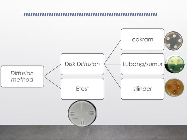 pertemuan 7 Antimicrobial assay PPT.pdf