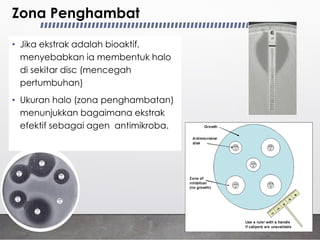 pertemuan 7 Antimicrobial assay PPT.pdf