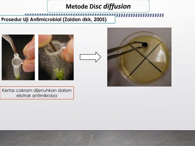 pertemuan 7 Antimicrobial assay PPT.pdf