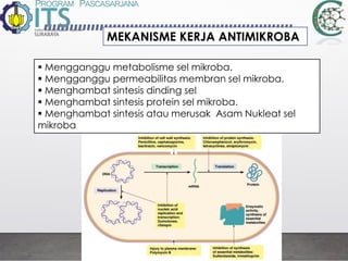 pertemuan 7 Antimicrobial assay PPT.pdf