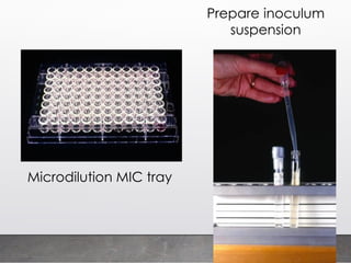 pertemuan 7 Antimicrobial assay PPT.pdf