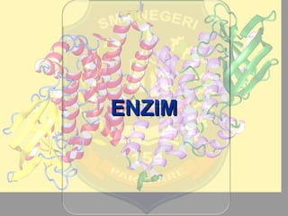 Work Group about ENZIM | PPT