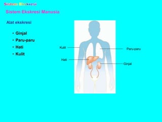 Pertemuan 7 Sistem Ekskresi pada manusia.pptx