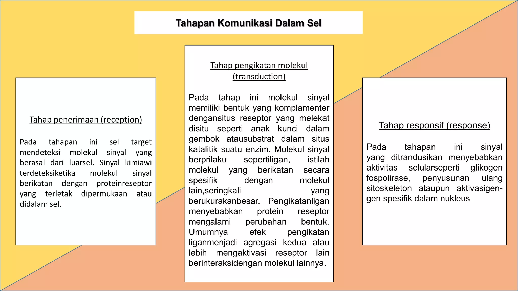 PERTEMUAN 8 - KOMUNIKASI SEL (TRANSDUKSI SEL).pptx