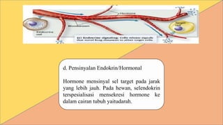 PERTEMUAN 8 - KOMUNIKASI SEL (TRANSDUKSI SEL).pptx