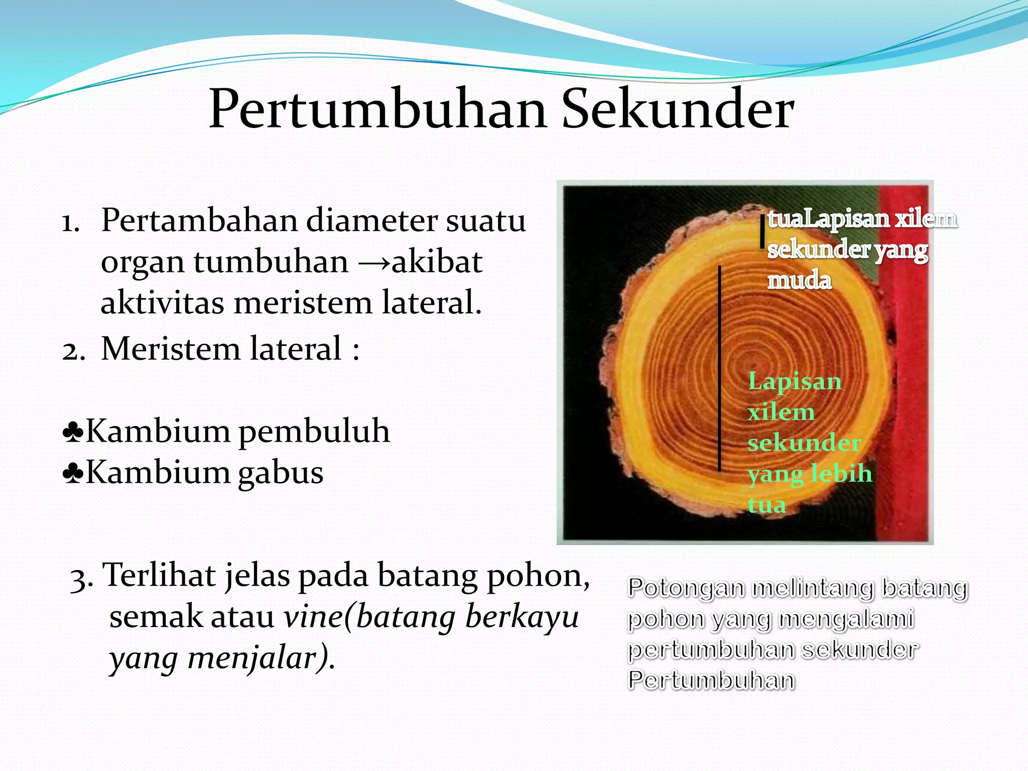 Pertemuan_8AF2020131.pdf