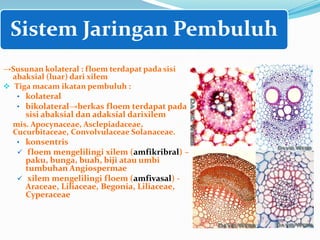 Pertemuan_8AF2020131.pdf