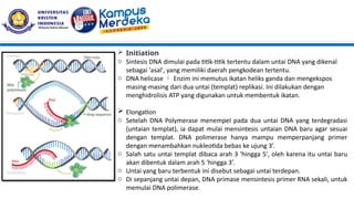 Genetika dan Biologi Molekuler: DNA replication copies the genetic ...