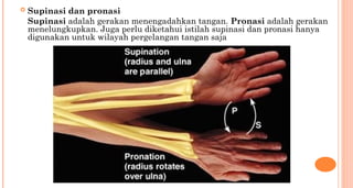 Pengantar Anatomi dan Fisiologi Kesehatan | PPT