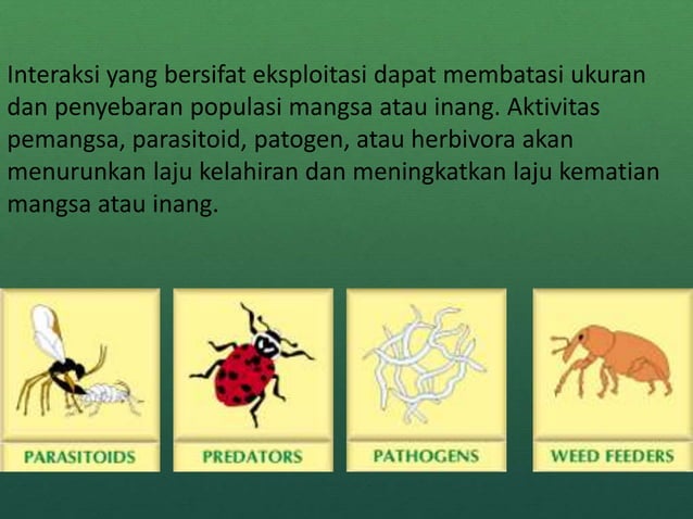 Makhluk Hidup dan Ekosistem Alami | PPTX