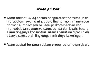 Pertemuan 9 (hormon tumbuhan) | PDF