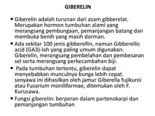 Pertemuan 9 (hormon tumbuhan) | PDF