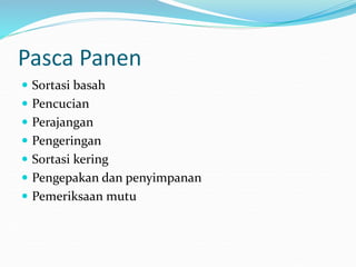 PERTEMUAN II SIMPLISIA.ppt