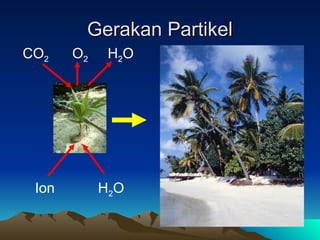 Pertemuan Ke-2.ppt fisiologitumbuhan, gerakan partikel | PPT