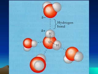 Pertemuan Ke-3.ppt Fisiologi Tumbuhan Imbibisi dan Air | PPT