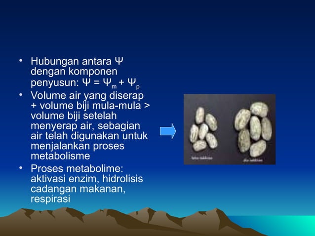 Pertemuan Ke-3.ppt Fisiologi Tumbuhan Imbibisi dan Air | PPT